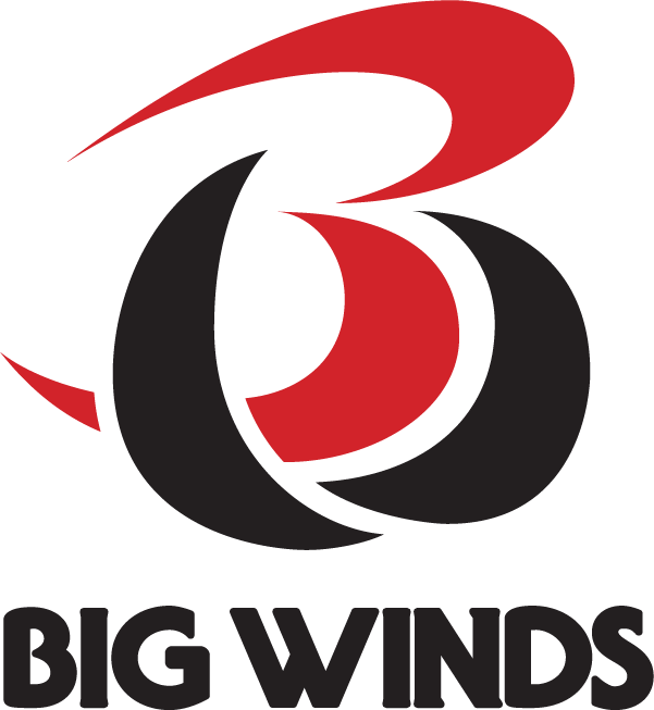 Logo Design - Pageworks